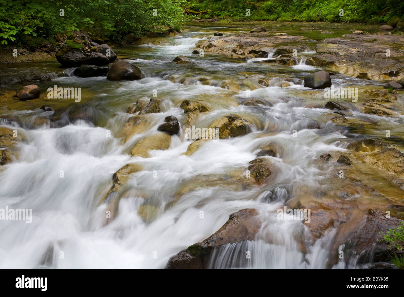 Middle santiam river hi-res stock photography and images - Alamy