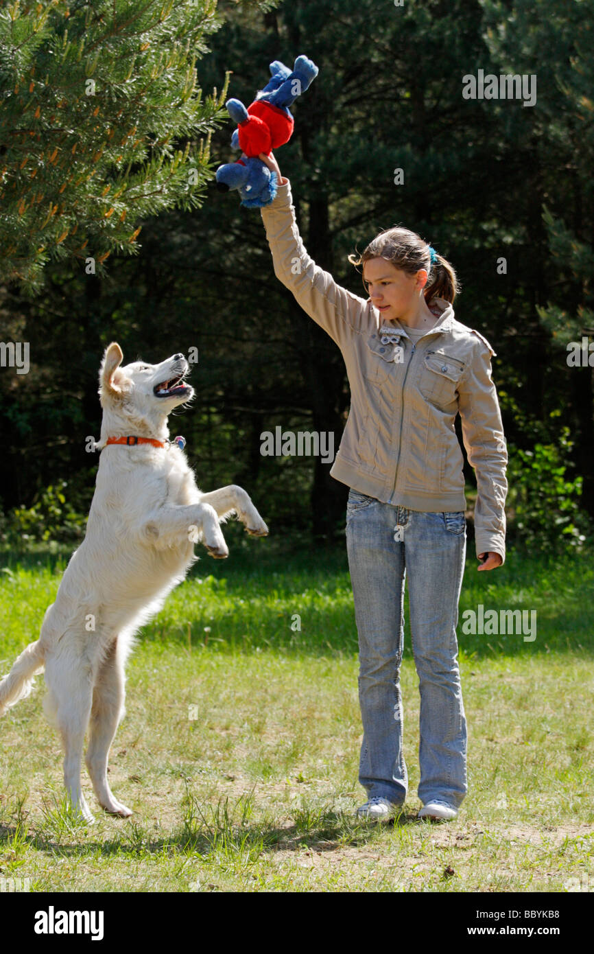 a young girl teaching her golden retriever tricks Stock Photo - Alamy