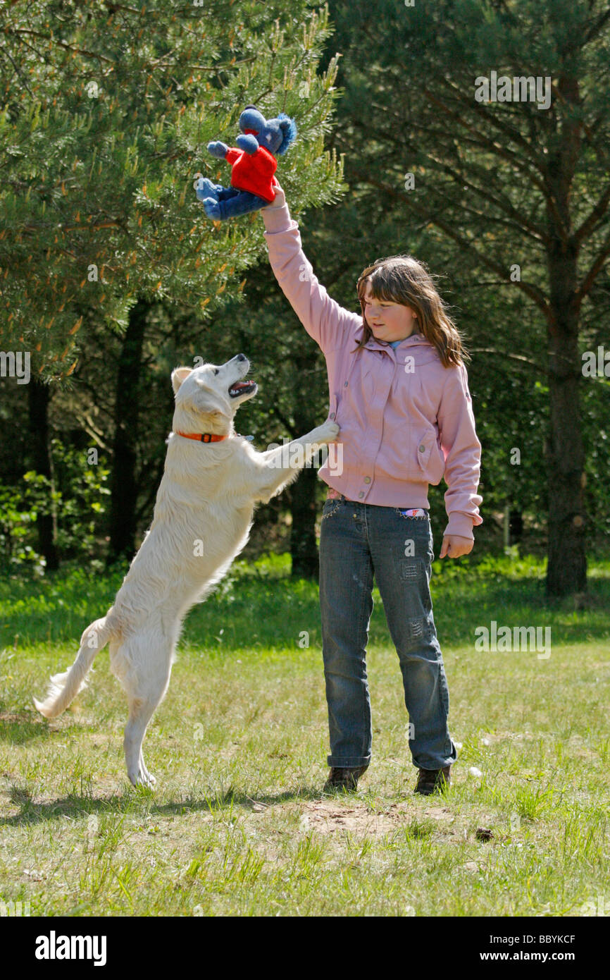 a young girl teaching her golden retriever tricks Stock Photo - Alamy