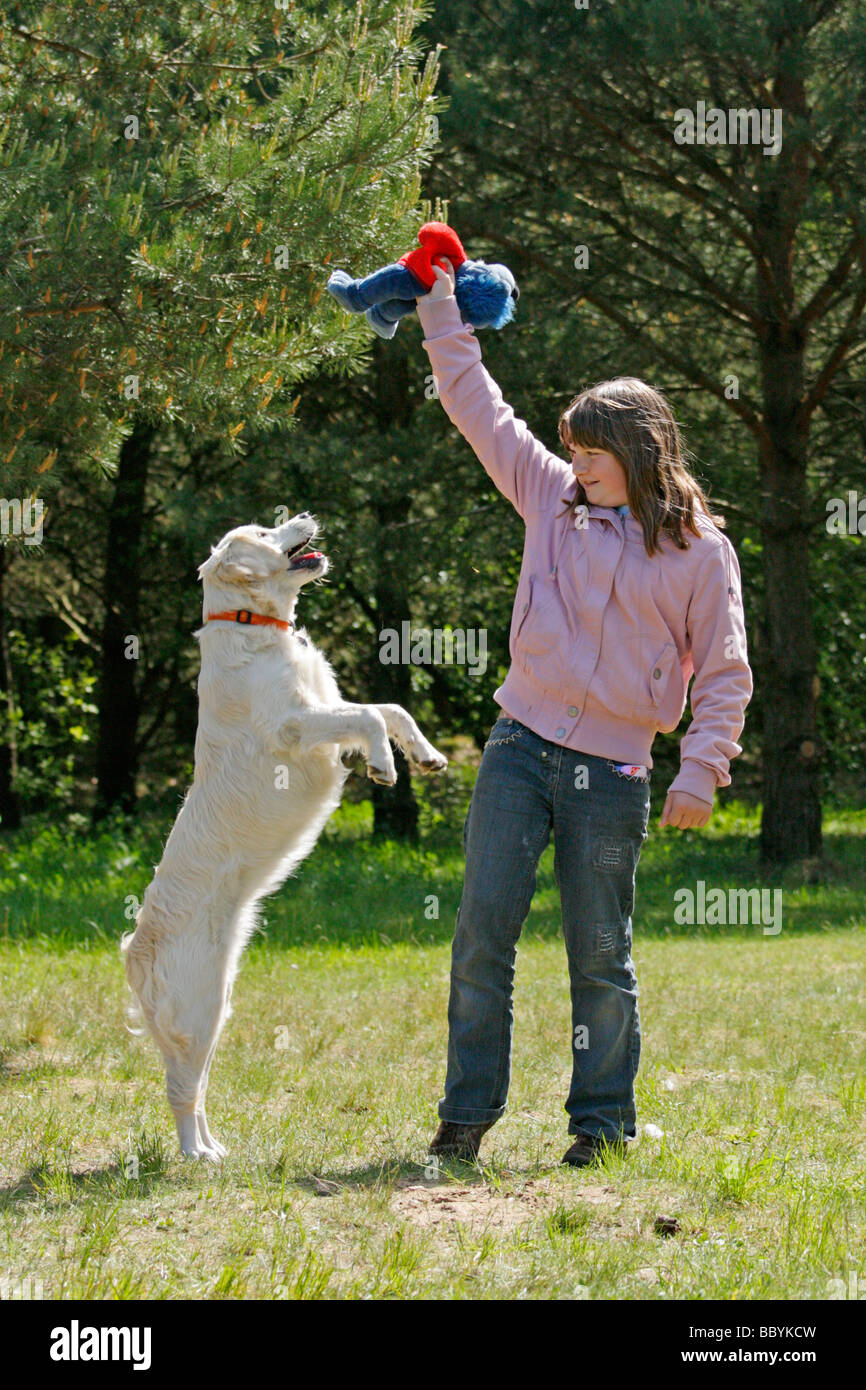 a young girl teaching her golden retriever tricks Stock Photo - Alamy