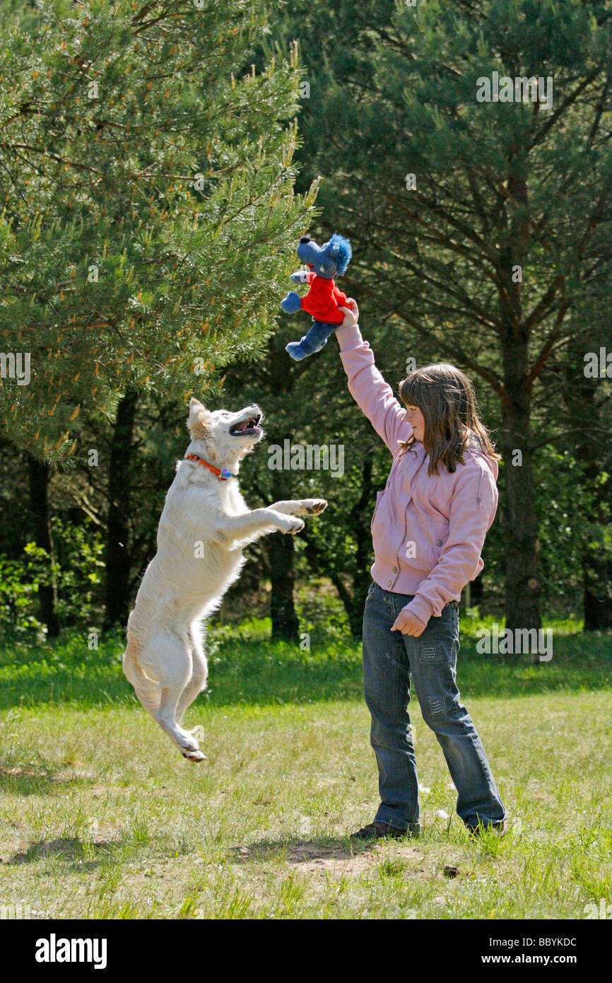 a young girl teaching her golden retriever tricks Stock Photo - Alamy