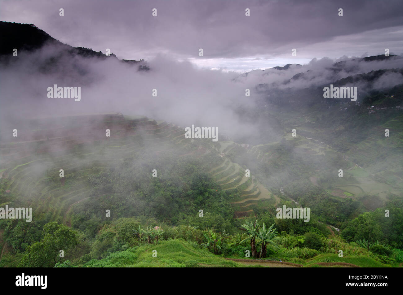 Banaue Rice Terraces, Banaue, Ifugao, North Luzon, Philippines Stock ...