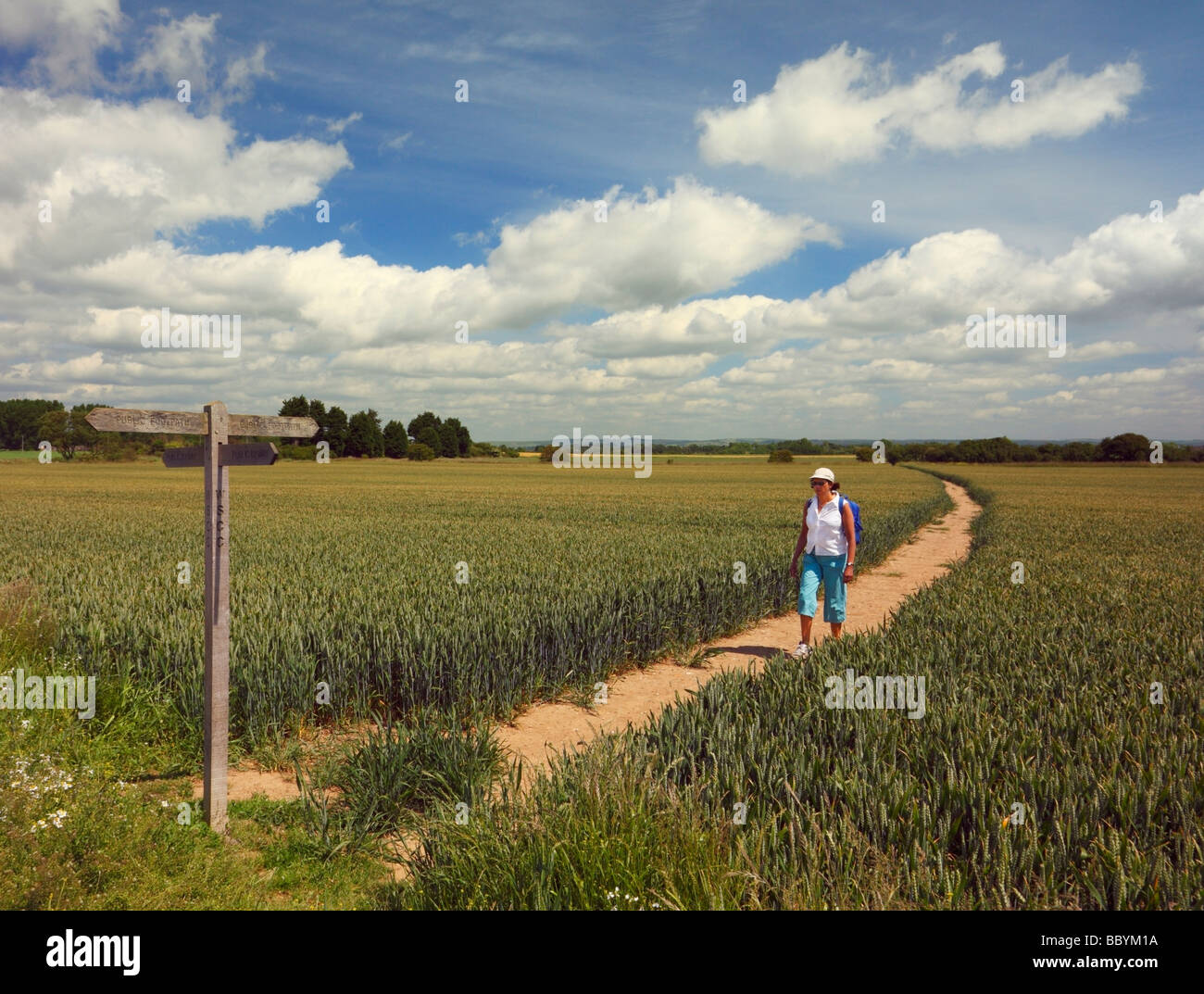 Middle aged woman walking in open countryside. West Sussex, England, UK ...