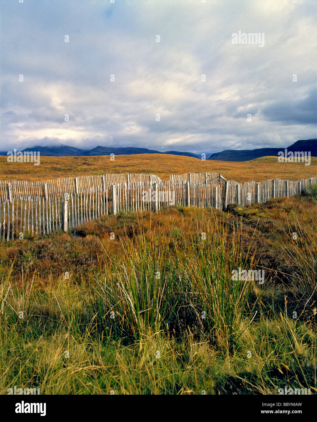 Snow fences cross Rannoch Moor in the Central Highlands of Scotland Ric ...