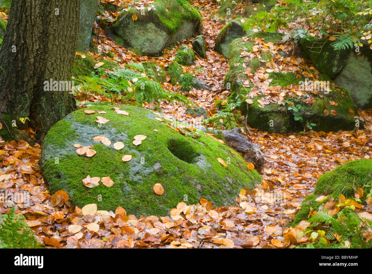 Padley mill hi-res stock photography and images - Alamy