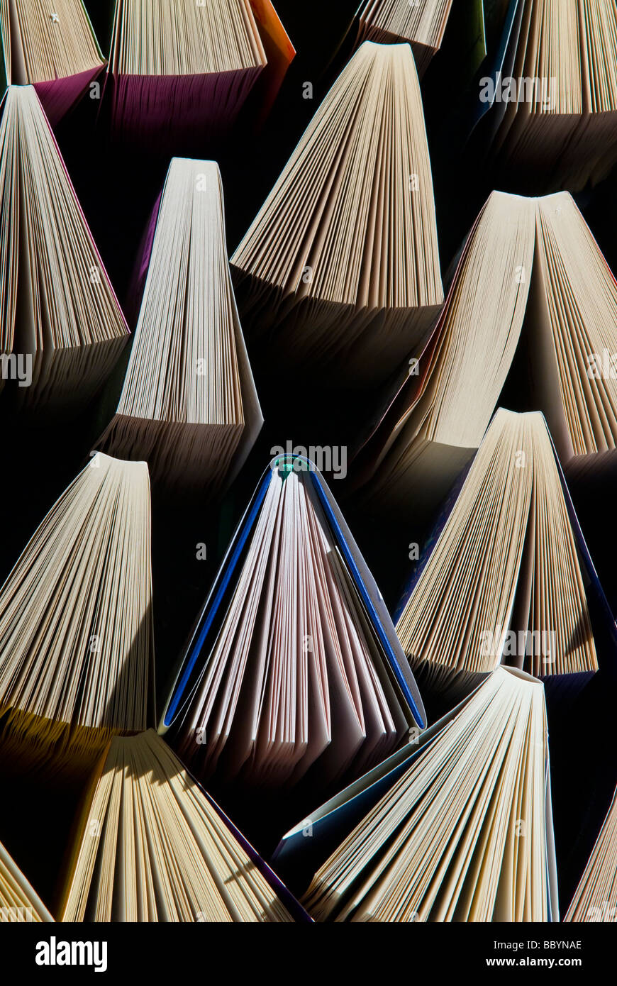 photograph of fanned out books with open pages Stock Photo - Alamy