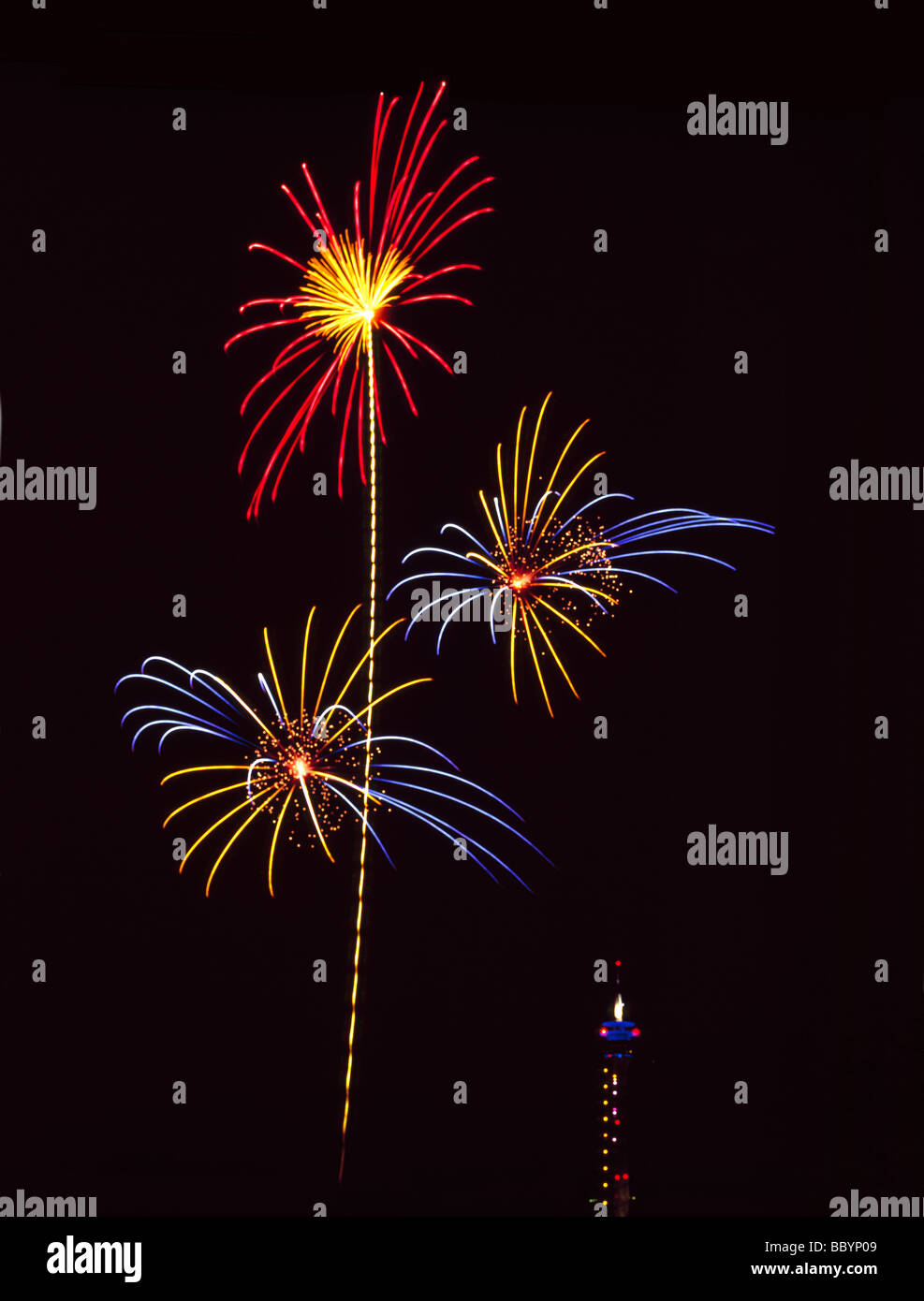 Japanese fireworks during the japan day 2009 Düsseldorf Japanisches ...