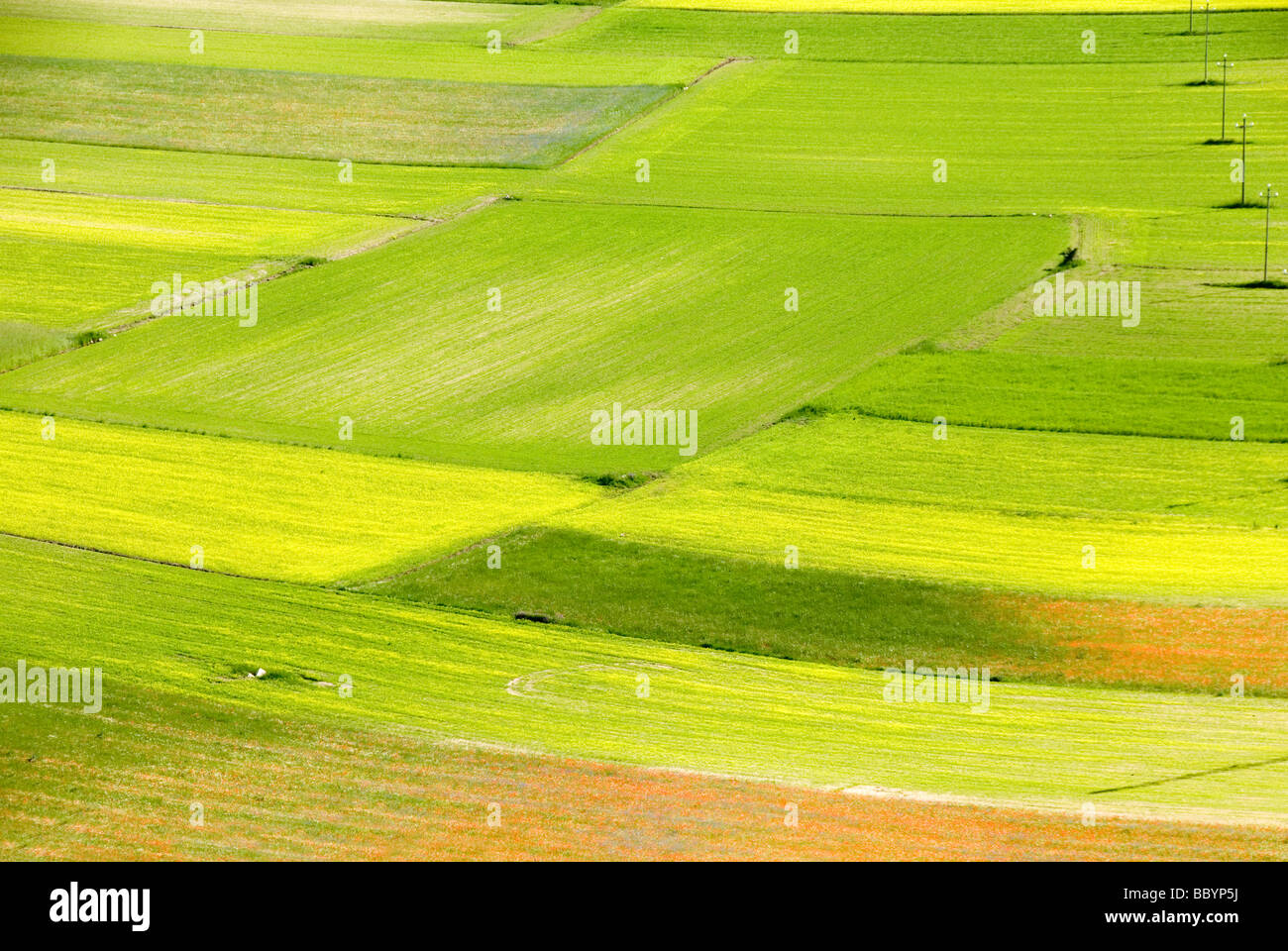 Patchwork fields in the Piano Grande that look life they are painted ...