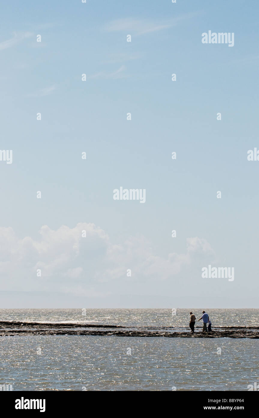 Sully island hi-res stock photography and images - Alamy