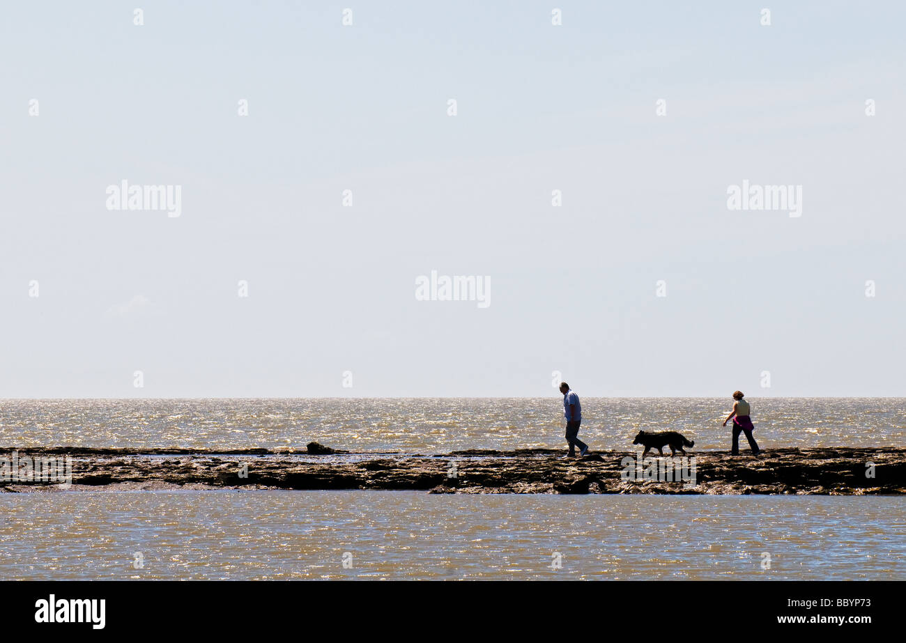 Two people and a dog walking across the causeway to Sully Island in ...