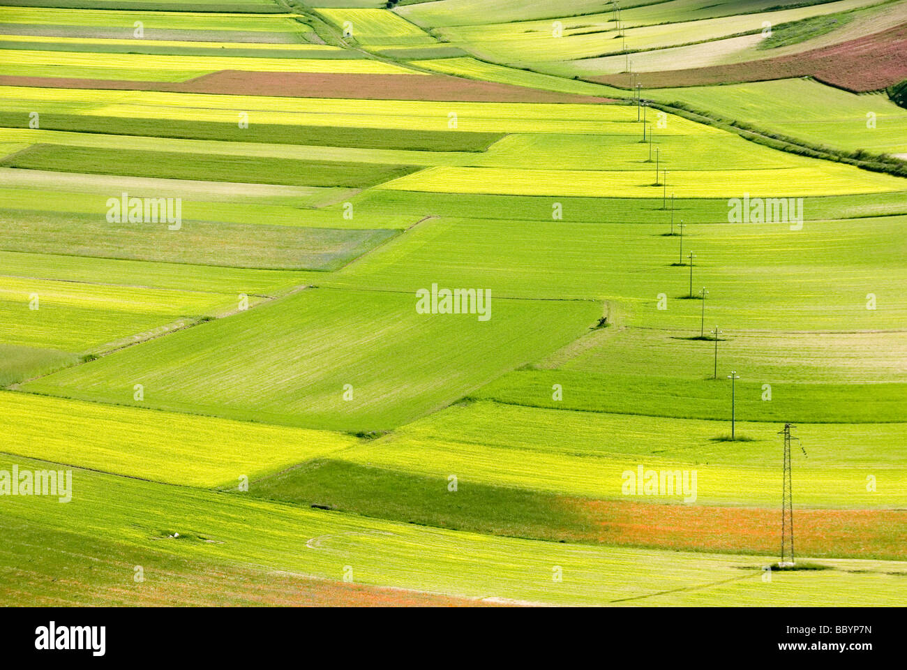 Patchwork fields in the Piano Grande that look life they are painted ...