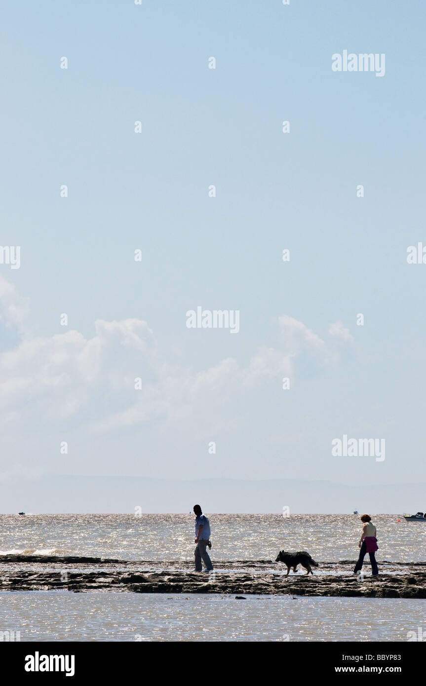 Sully the dog hi-res stock photography and images - Alamy