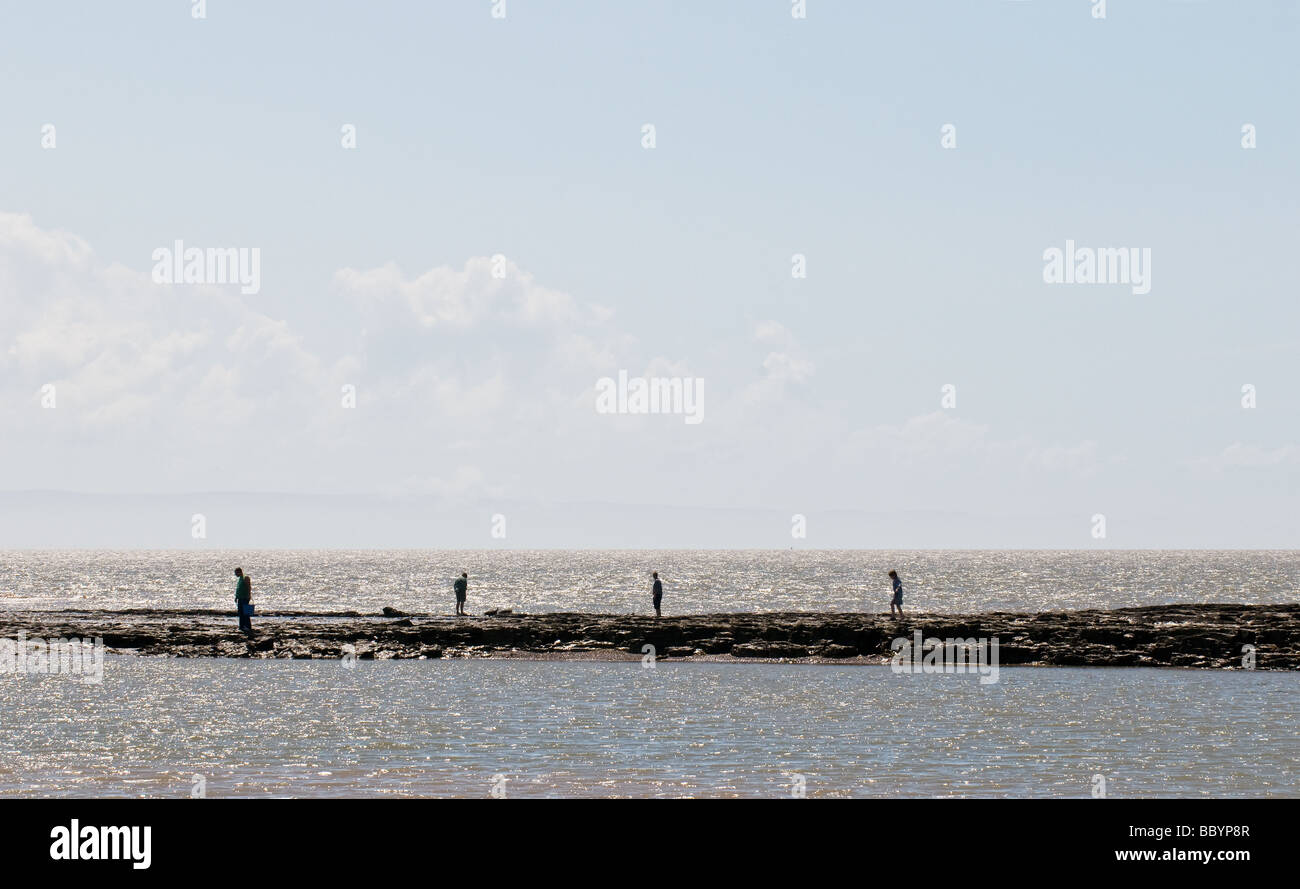 Sully island hi-res stock photography and images - Alamy