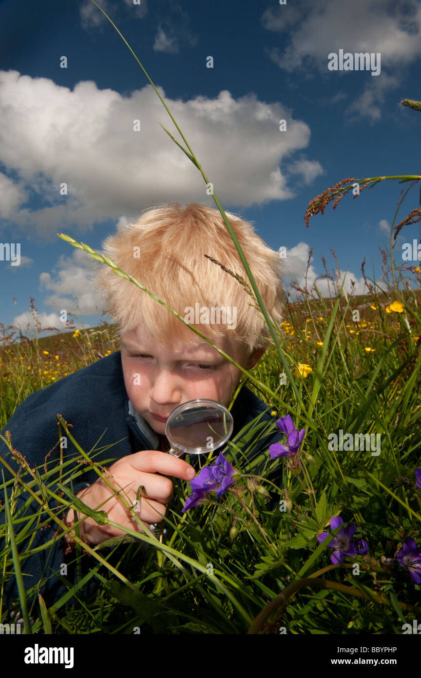 Young boy with magnifying glass looking at flowers and bugs in ...