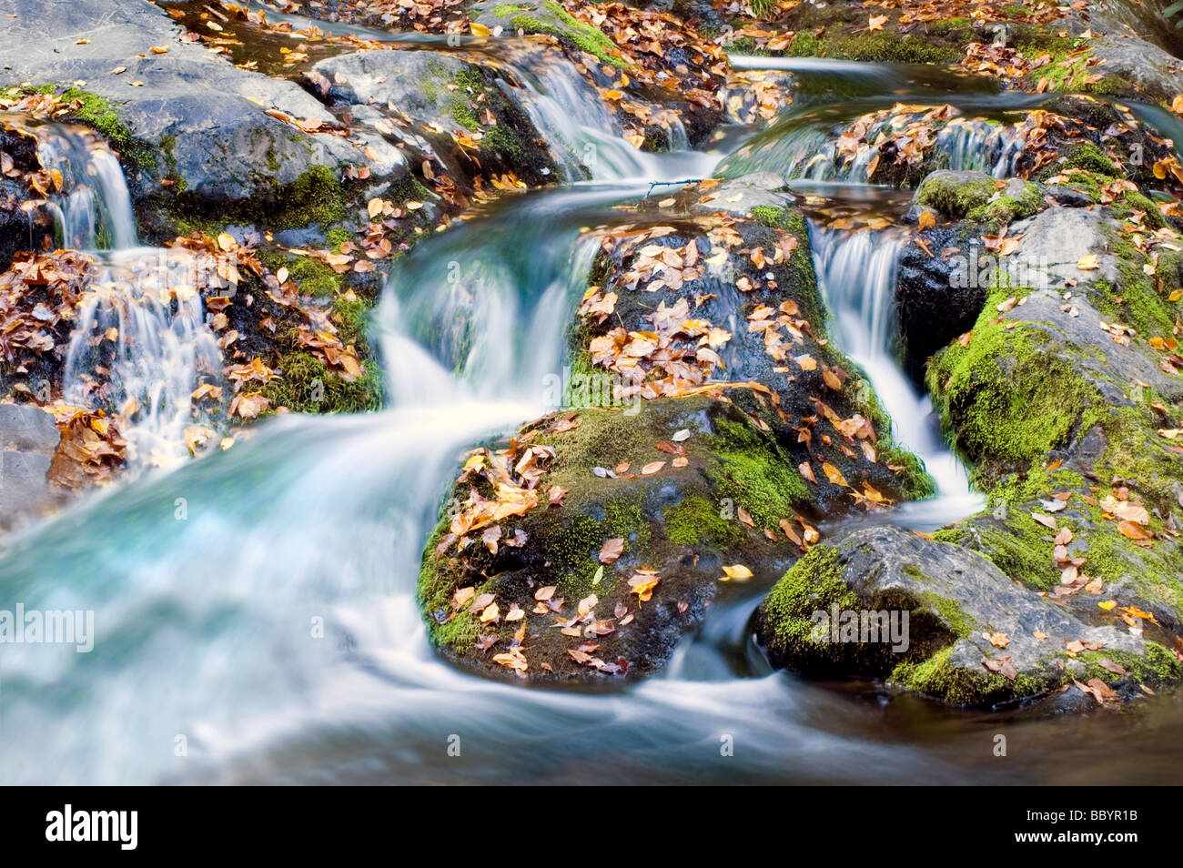 Vibrant autumn mountain trail hi-res stock photography and images - Alamy
