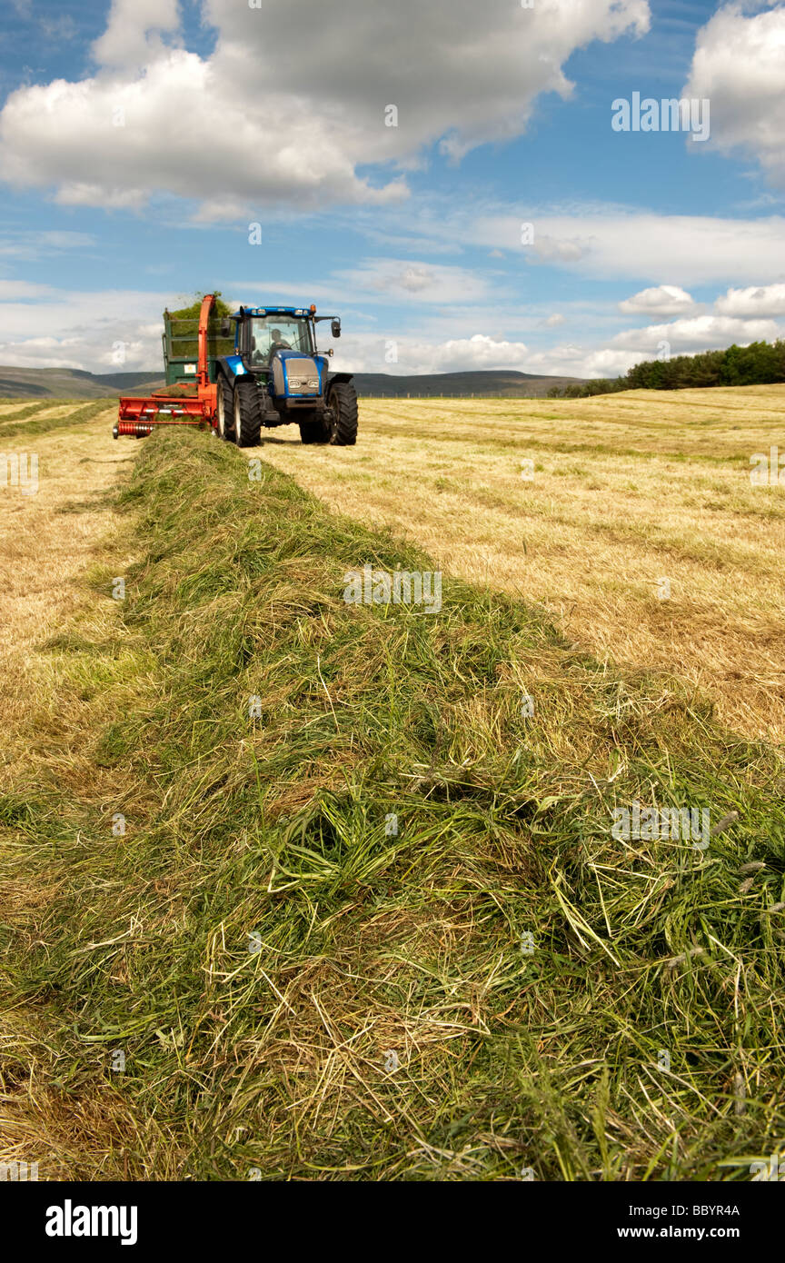 Valtra tractor pulling a Kverneland forage harvester and trailer making ...