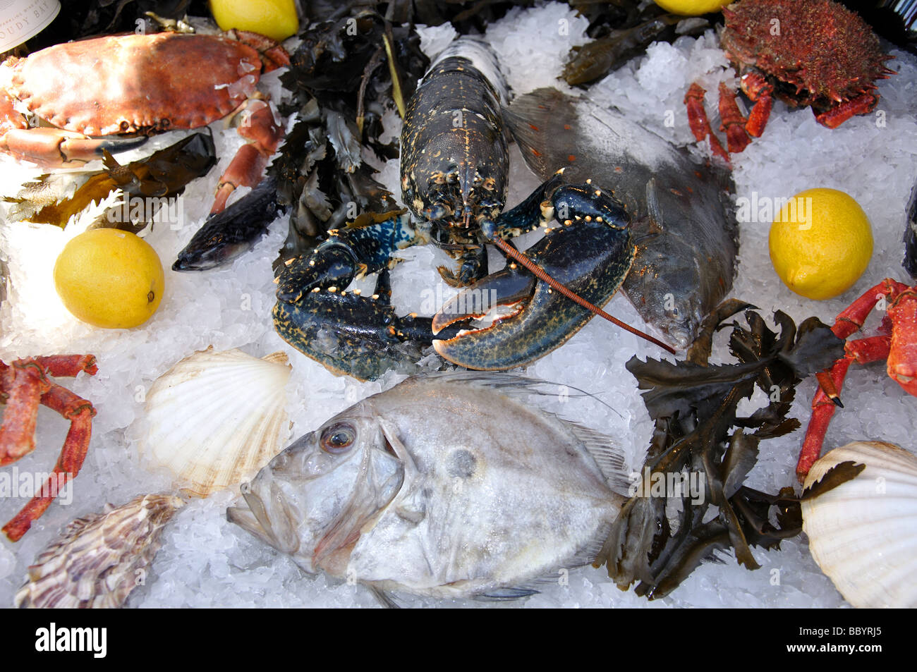 Fish on display outside restaurant, Trafalgar Square, Fowey, Cornwall ...