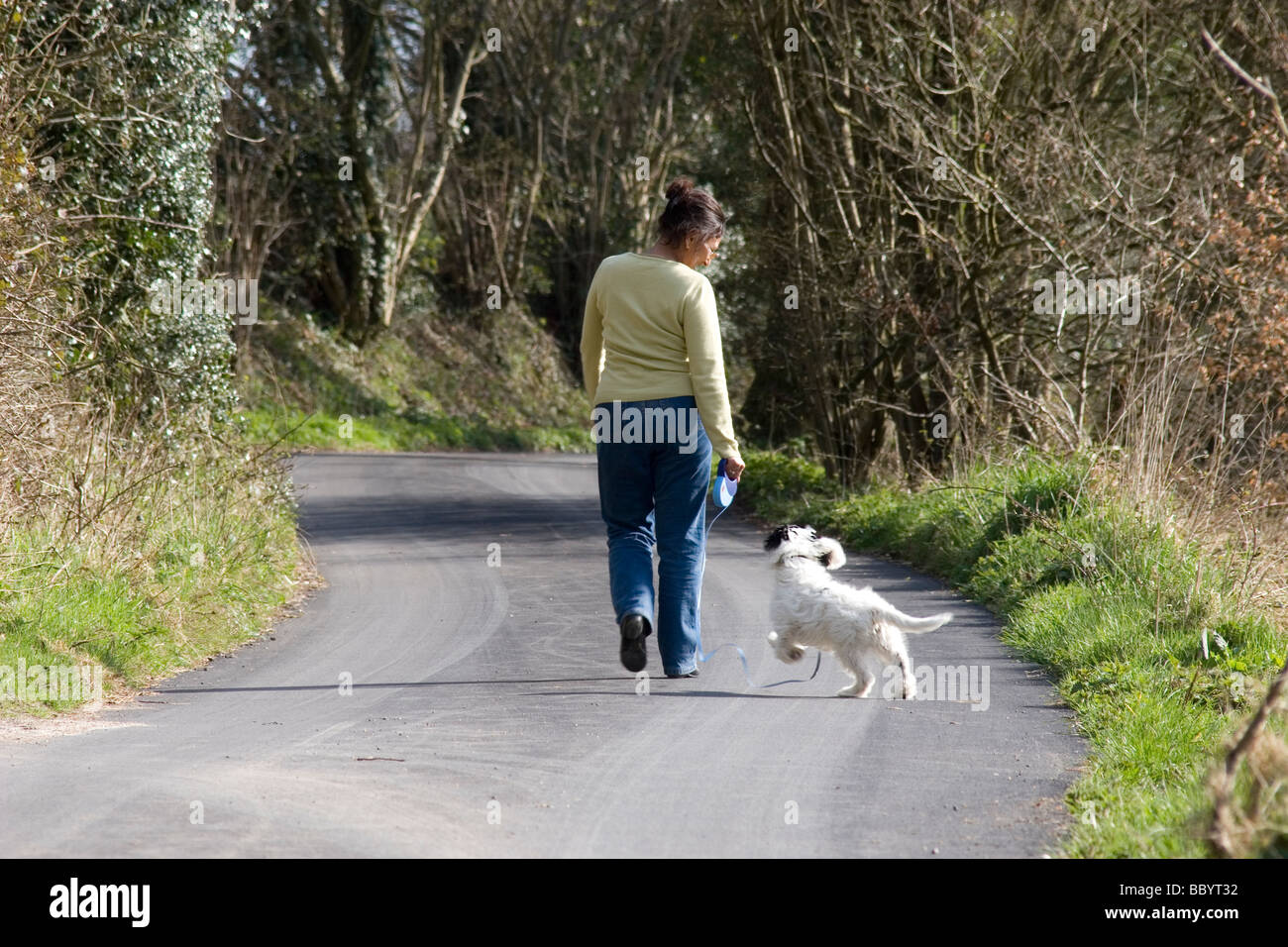 middle aged Asian woman walking cockerpoo puppy in countryside on lead ...