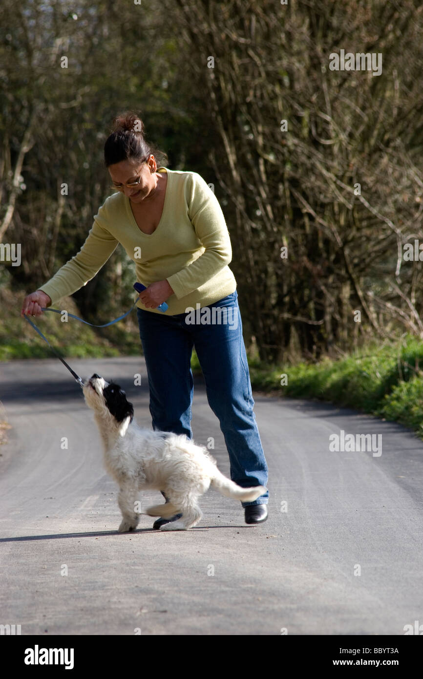 middle aged Asian woman walking cockerpoo puppy in countryside on lead ...