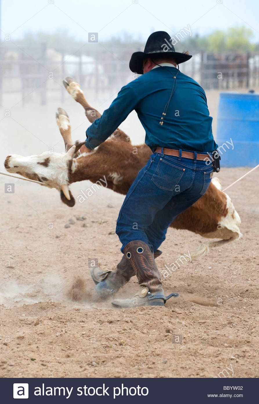 Cowboy Branding Stock Photos & Cowboy Branding Stock Images - Alamy