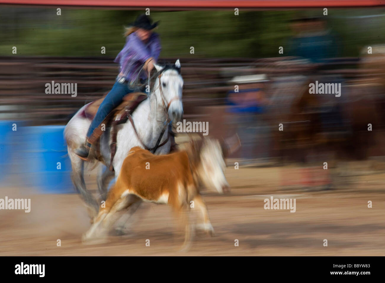 Cowgirl roping hi-res stock photography and images - Alamy