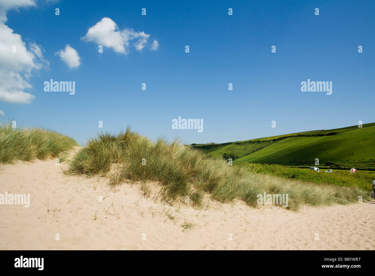 Sand dunes near Burgh Island in Devon Stock Photo - Alamy