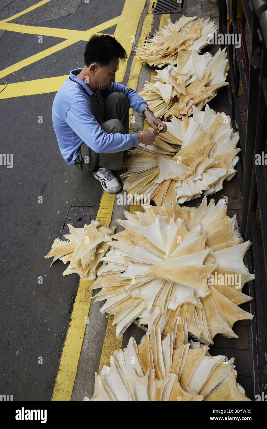 Hong Kong, Drying shark fin on the street and other marine products in ...