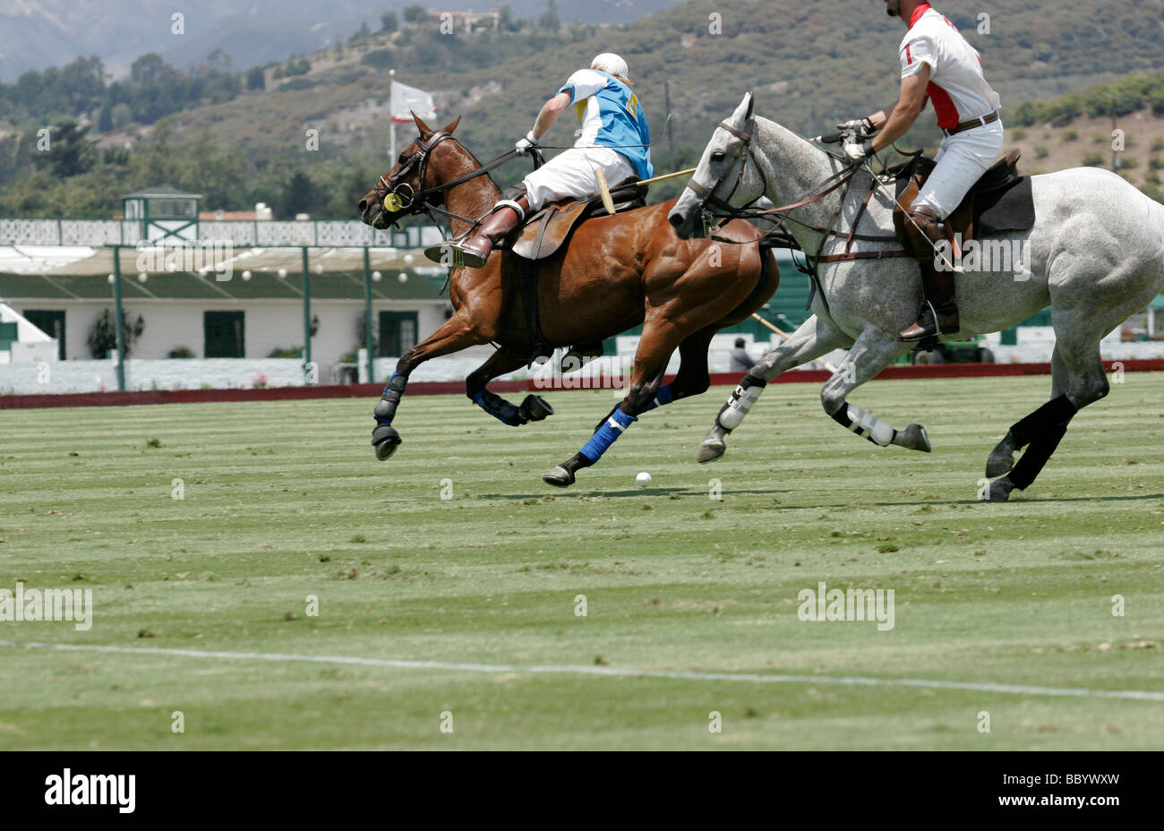 Polo player defending his position against an opponent Stock Photo - Alamy