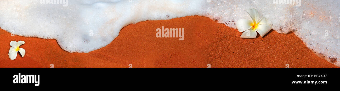 flower and surf Stock Photo - Alamy