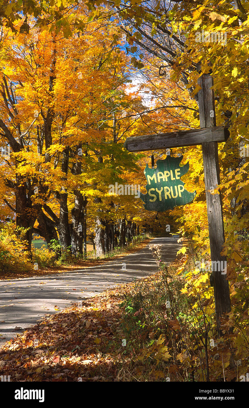 Maple Syrup sign in a country road in Vermont Stock Photo - Alamy