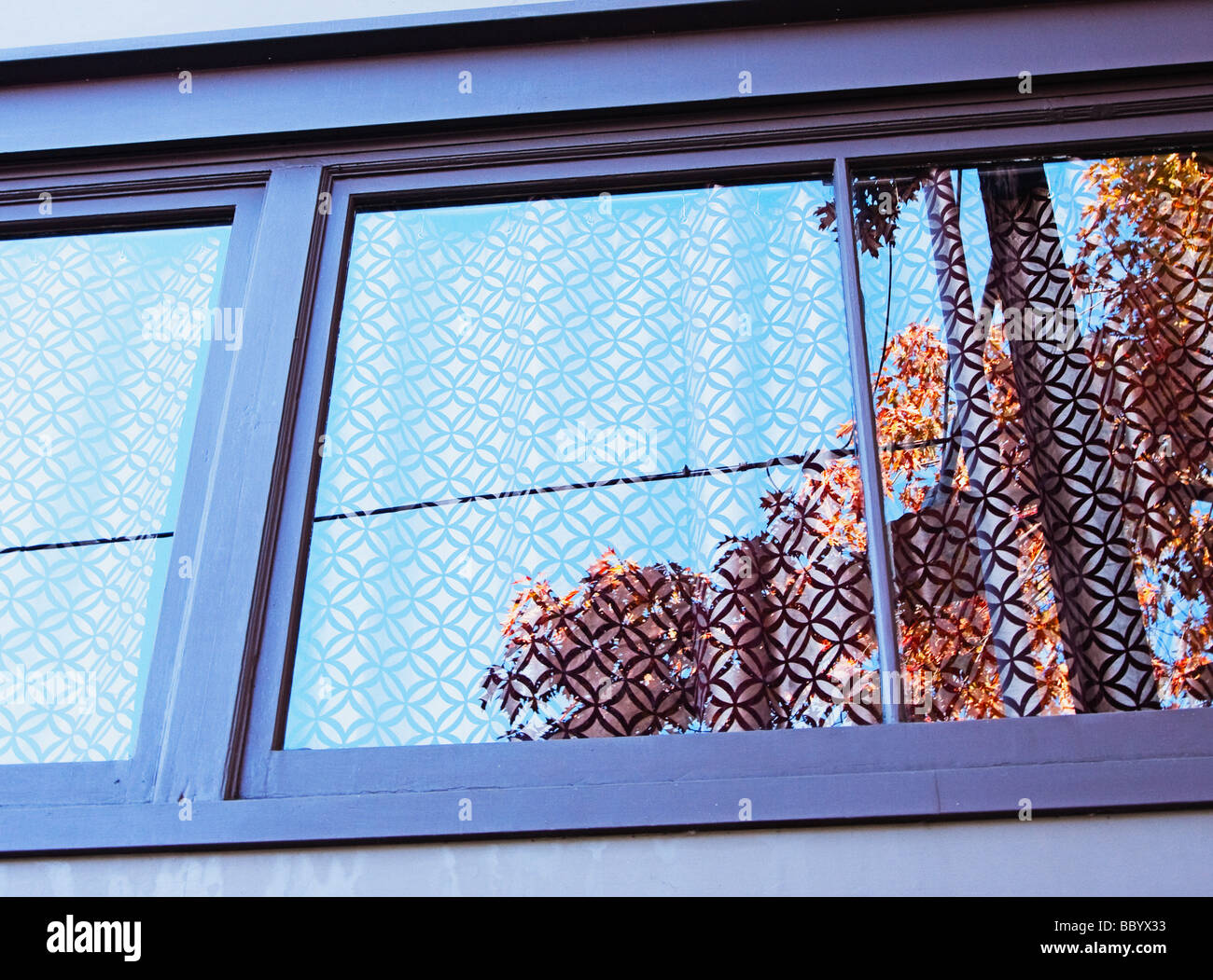 reflection of trees in upper shop windows Stock Photo - Alamy