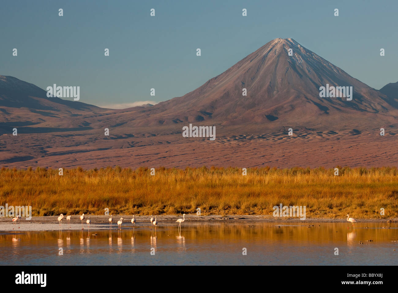 The atacama volcano and desert hi-res stock photography and images - Alamy