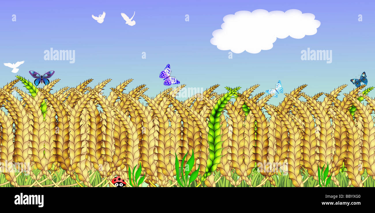 Abstract cornfield hi-res stock photography and images - Alamy