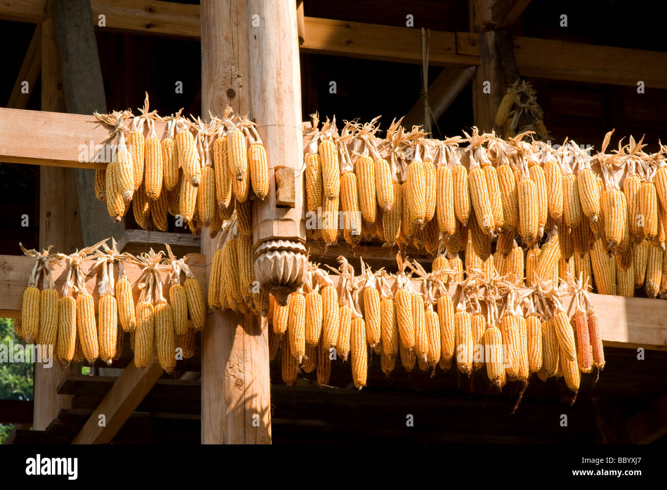 Agriculture china chinese drying hi-res stock photography and images ...