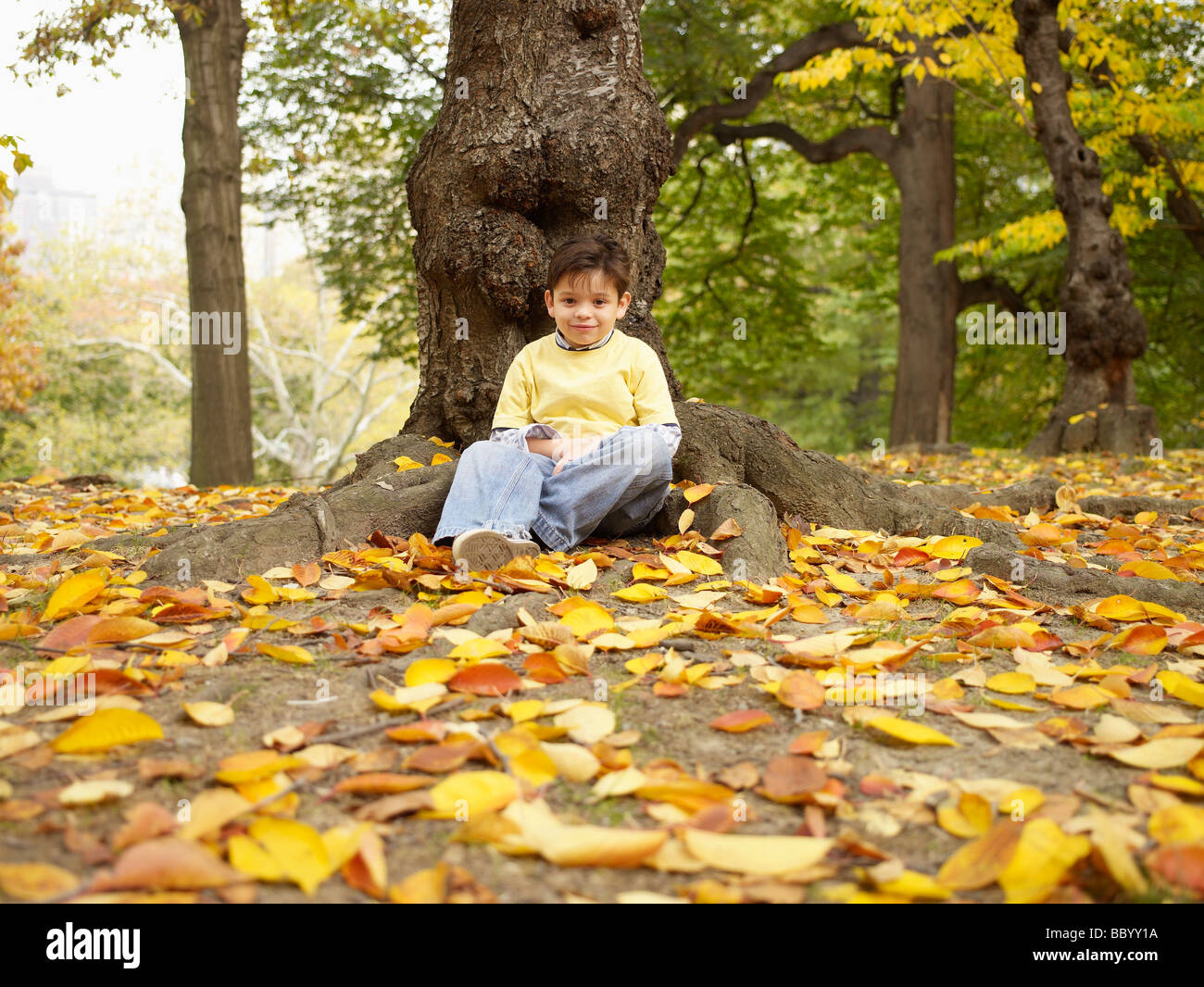 Boy sitting leaning tree hi-res stock photography and images - Alamy