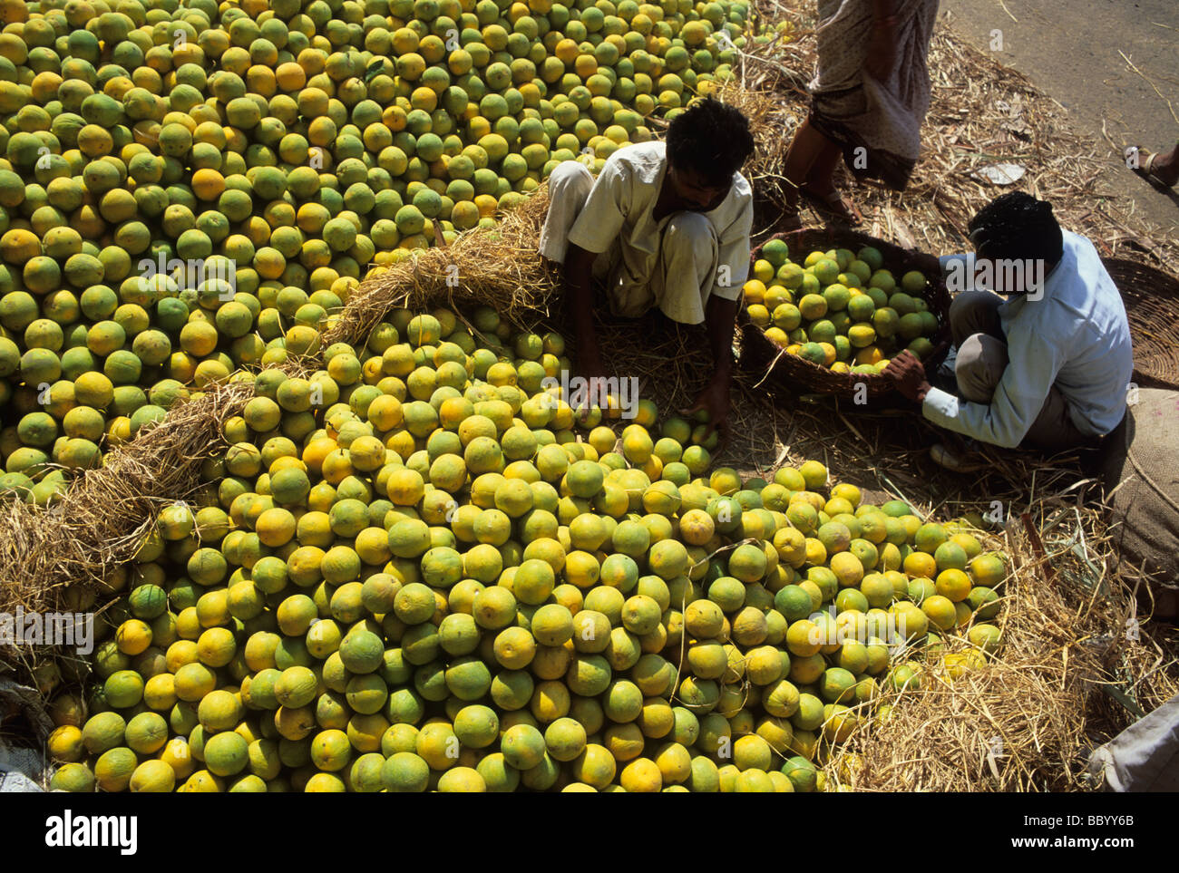 Indian man sells fruit market hi-res stock photography and images - Alamy