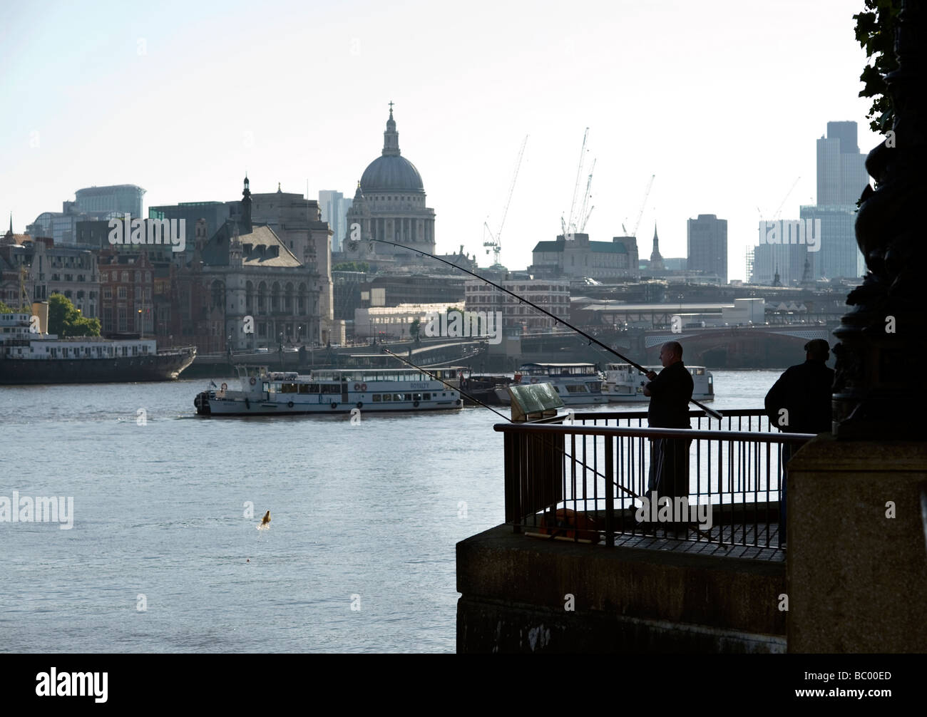 Thames clean hi-res stock photography and images - Alamy