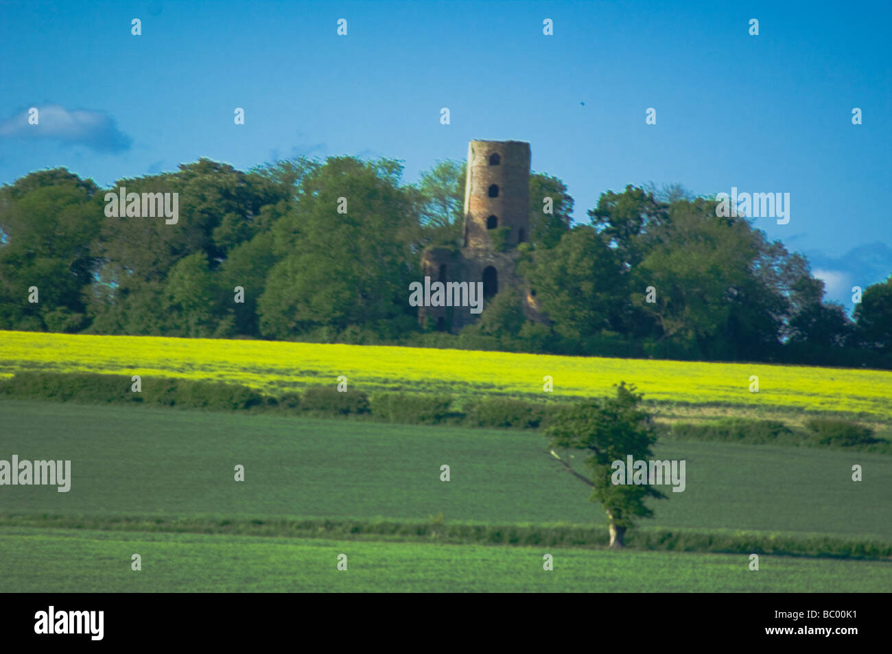 Racton Memorial Ruins near Chichester Hampshire Stock Photo - Alamy