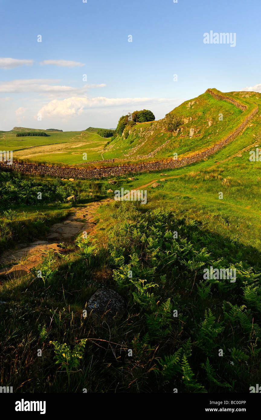 The view eastward along the line of Hadrian's Wall looking towards the ...