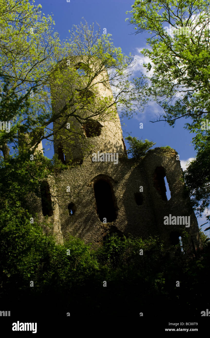 Racton Memorial Ruins near Chichester Hampshire Stock Photo - Alamy