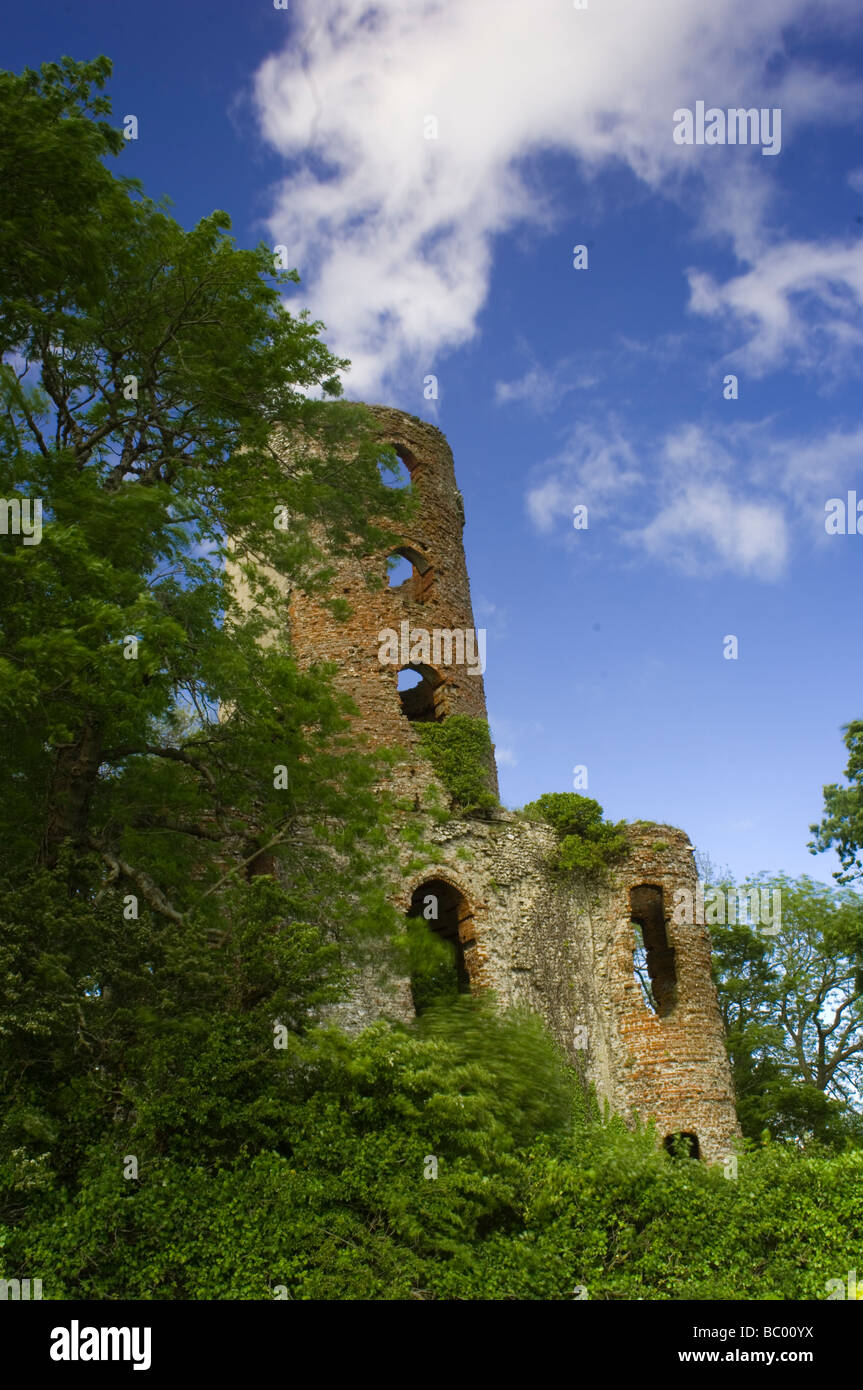 Racton Memorial Ruins near Chichester Hampshire Stock Photo - Alamy