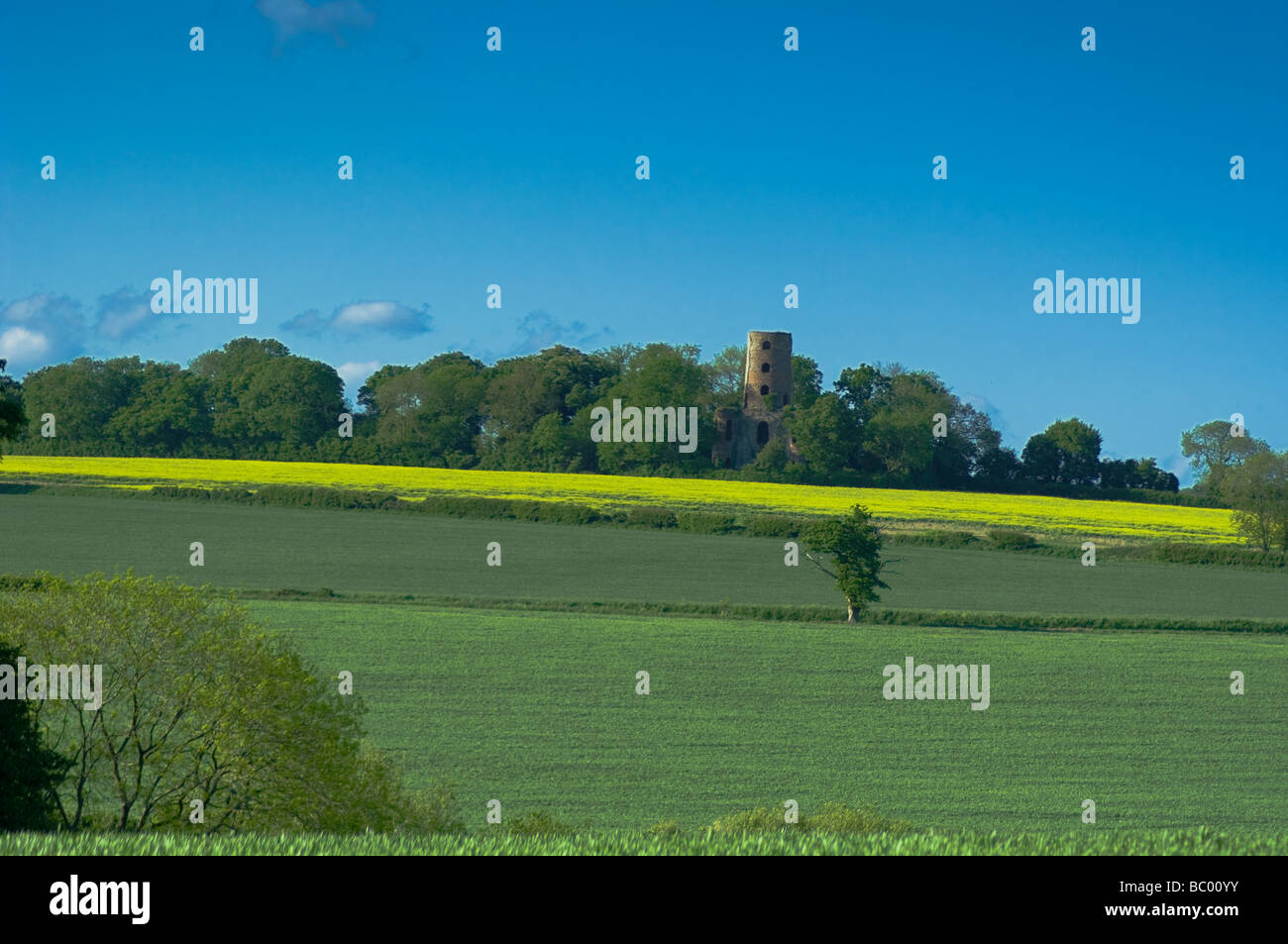 Racton Memorial Ruins near Chichester Hampshire Stock Photo - Alamy