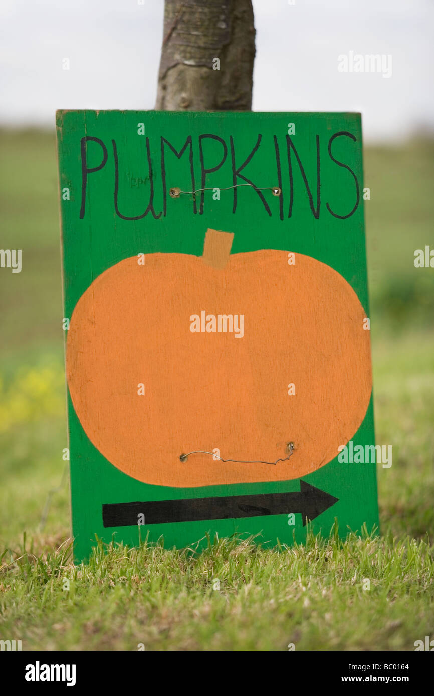 Sign for a pumpkin farm Stock Photo - Alamy
