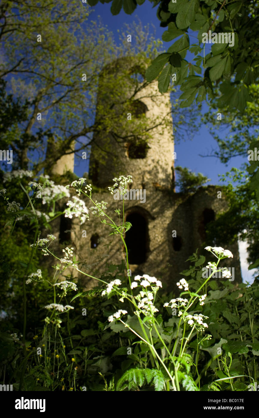 Racton Memorial Ruins near Chichester Hampshire Stock Photo - Alamy