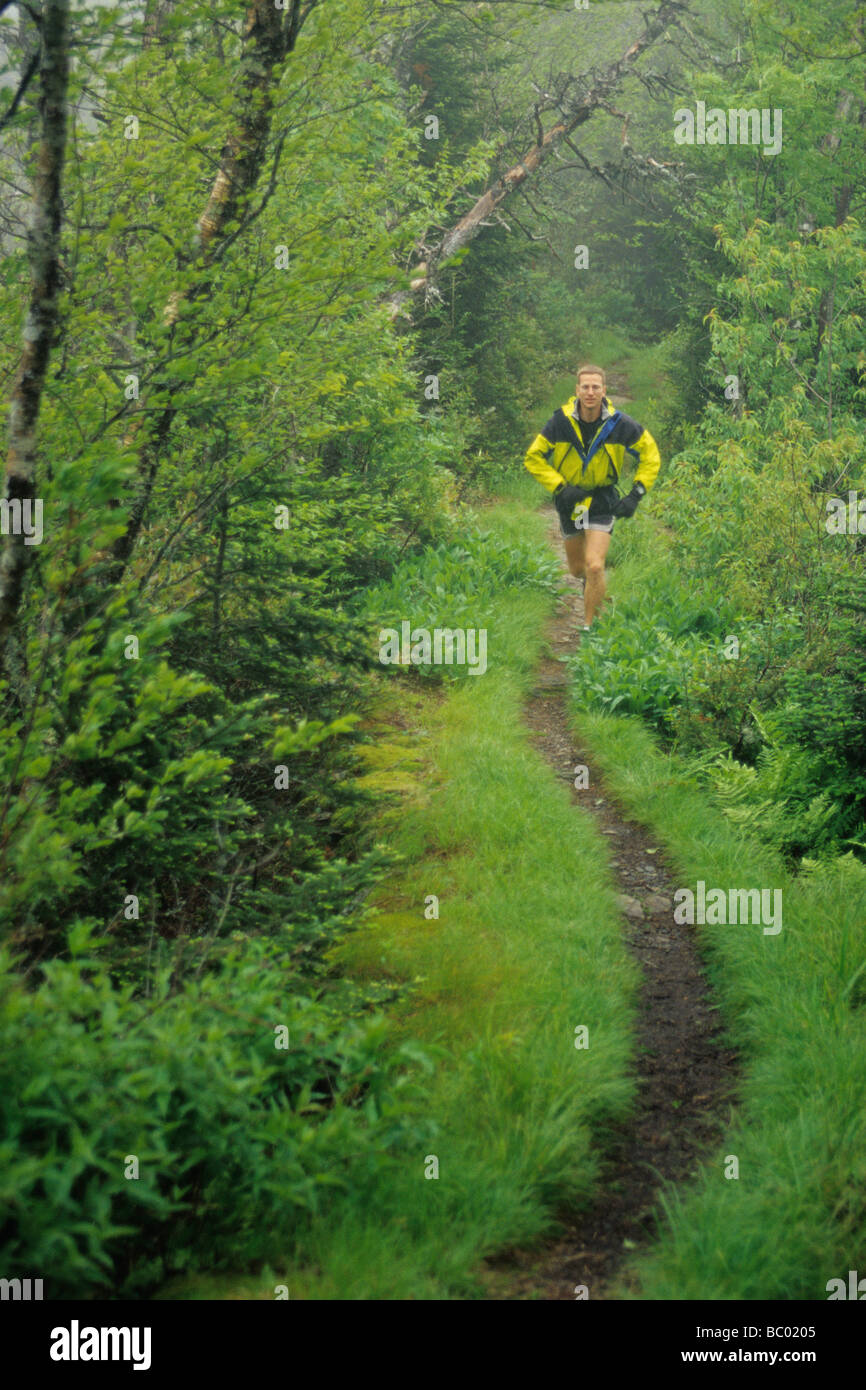 Male trail runner in a lush rainy forest Stock Photo - Alamy