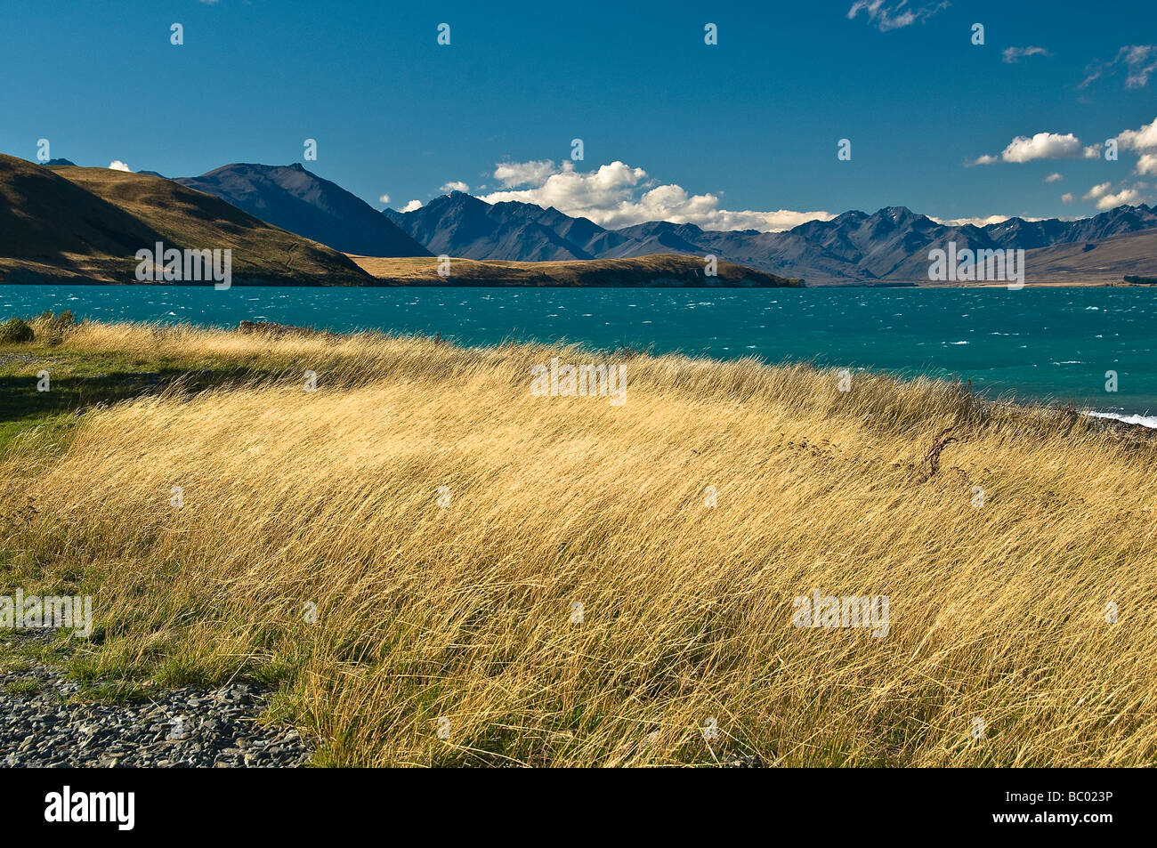 Lake Tekapo Mackenzie Country South Island New Zealand Stock Photo - Alamy
