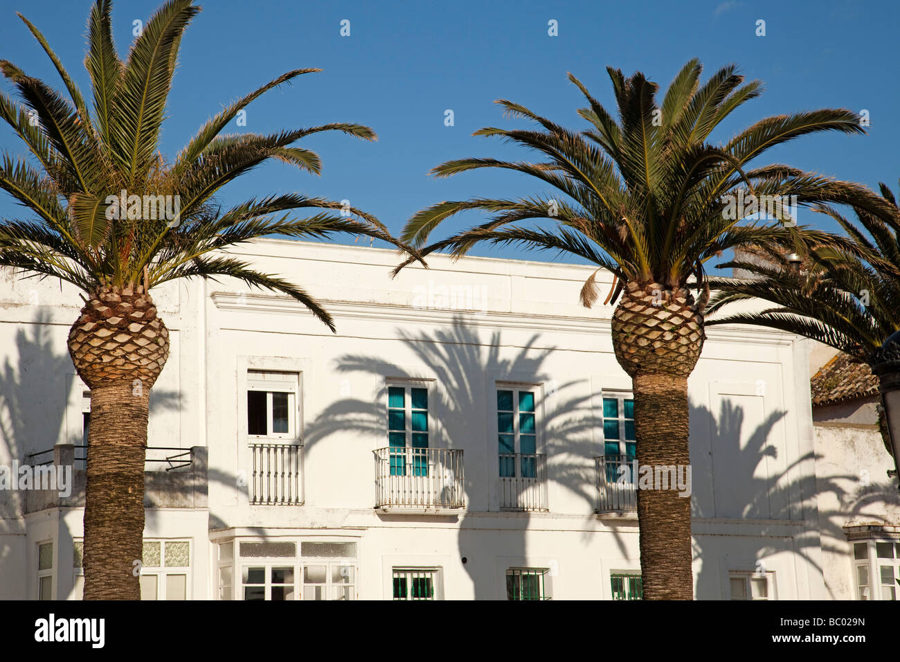 Palmeras y casas hi-res stock photography and images - Alamy
