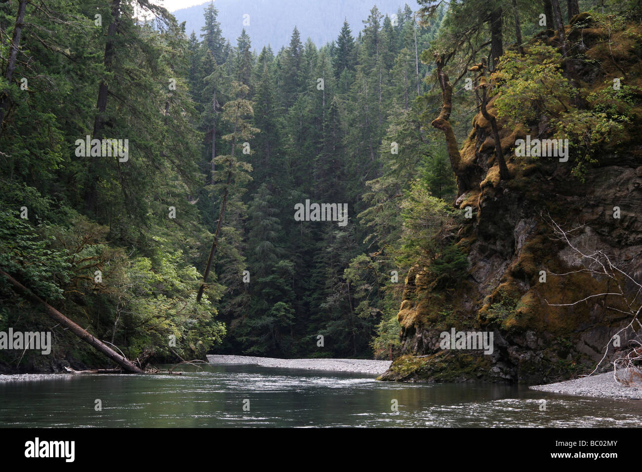 Elwha River, Olympic National Park, Washington Stock Photo - Alamy