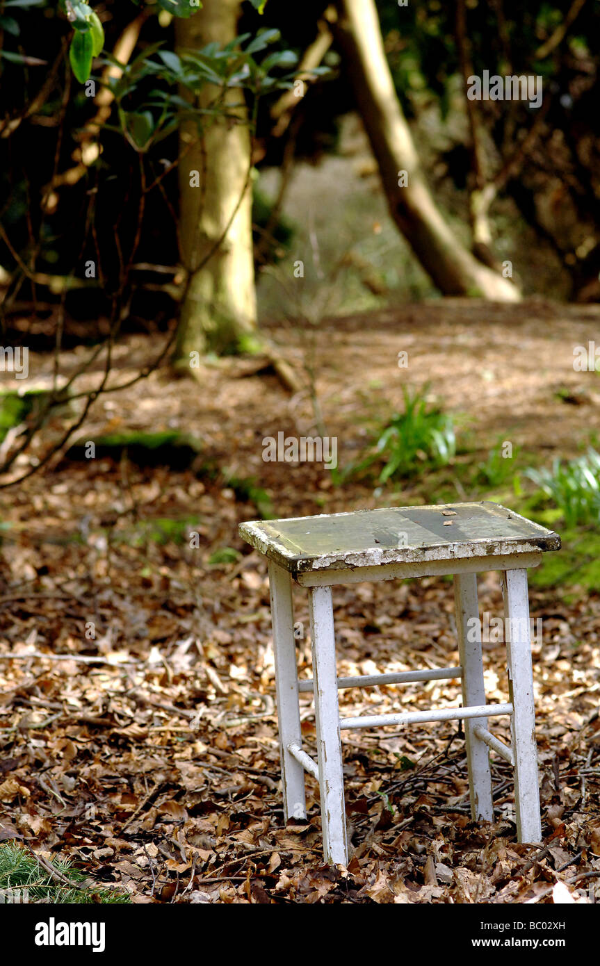 abandoned stool in woods Stock Photo - Alamy