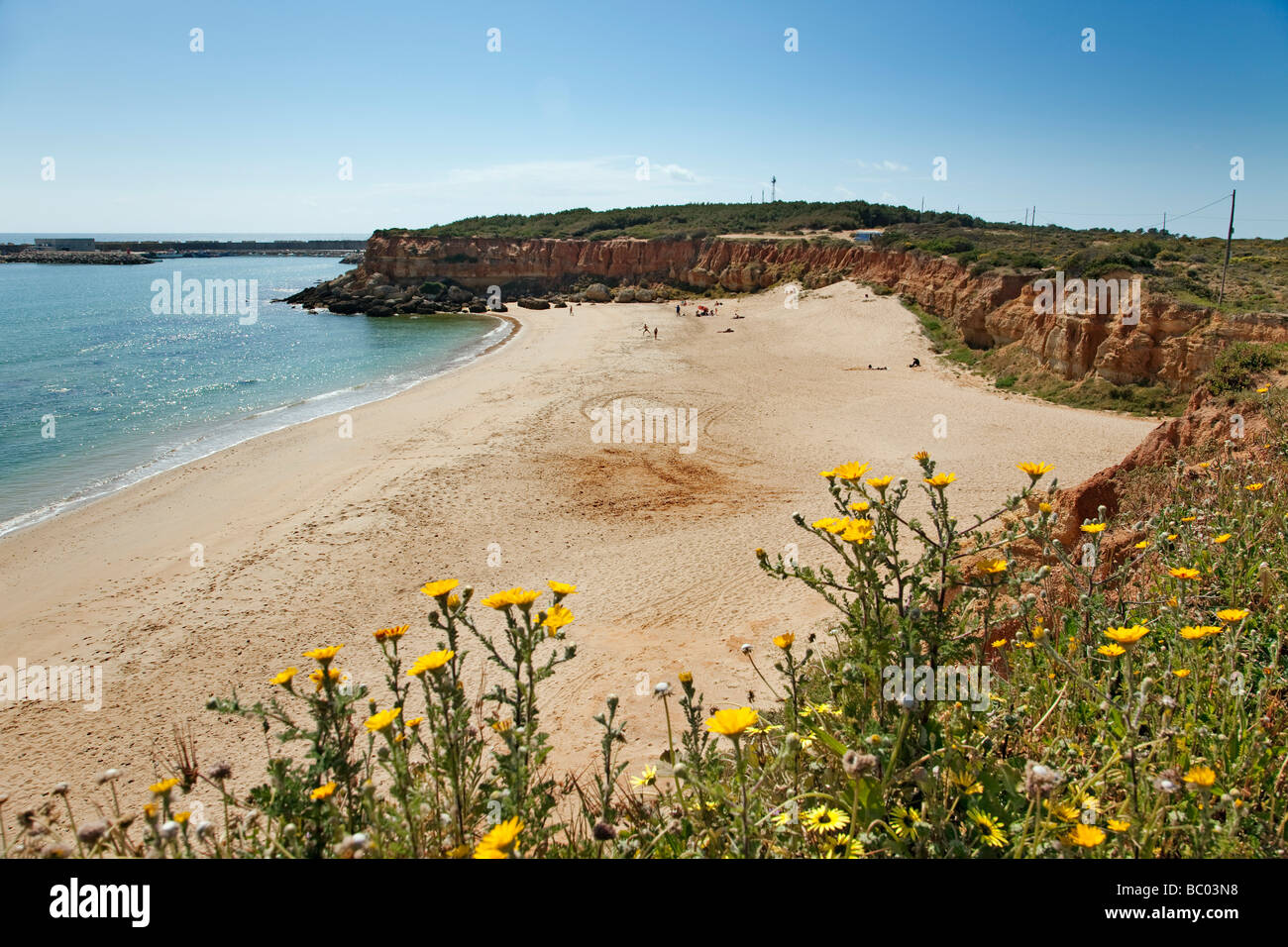 Beaches in La Cala del Aceite Conil de la Frontera Cadiz Andalusia ...